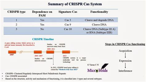 Clustered Regularly Interspaced Short Palindromic Repeats Crispr