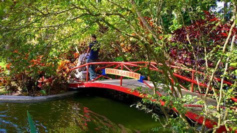 Sunken Gardens Tampa Florida