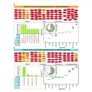 Potential Hub Genes Via PPI Networks Based On Different Algorithms