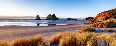 Naturopathsown Nutriscript New Zealand And Australia