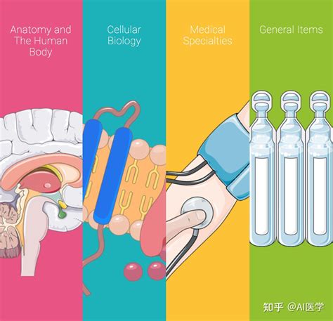 有哪些好看的科研插图、绘图配色网站推荐？ 知乎