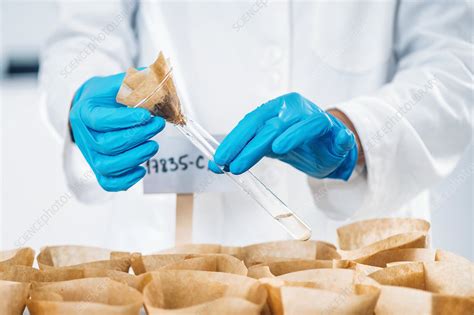 Soil Sample Testing Laboratory Stock Image F024 1745 Science Photo Library