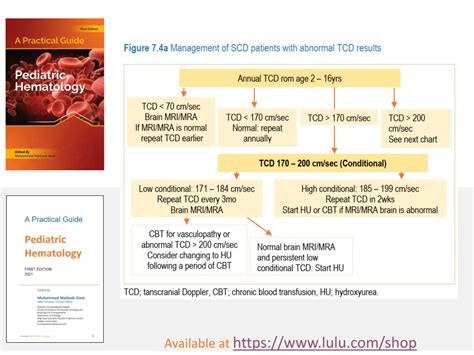 Management Of Scd Patients With Abnormal Tcd Results Download