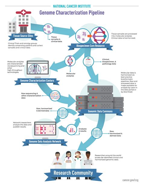 how the nci produces big data about cancer nci