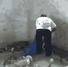 Brian Jaw Drop Gifs Tenor