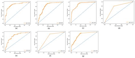 Cancers Free Full Text Deep Learning And Expert Knowledge Based Feature Extraction And