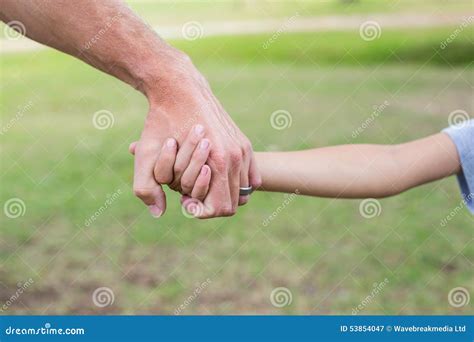 Padre E Figlio Che Si Tengono Per Mano Nel Parco Immagine Stock