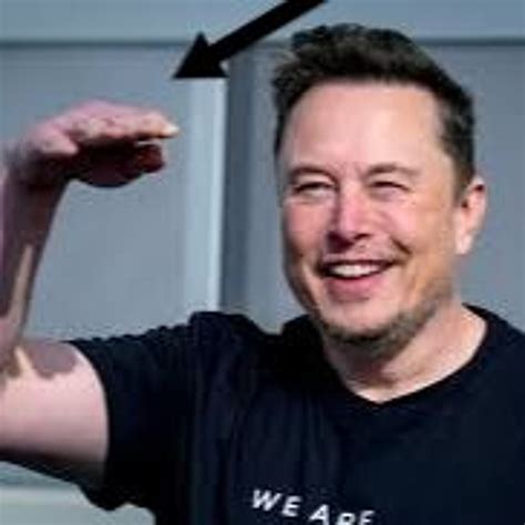 Stream Elon Musk Salute Full Elon Musk Nazi Salute Video By Musik Xita