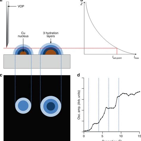 Schematic Of The Optical Feedback Detection Of The Hydrodynamic