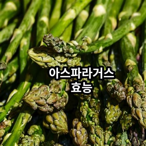 아스파라거스 효능