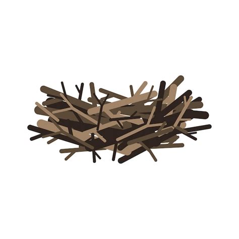 Premium Vector Nature Vector Nest Isolated Illustration