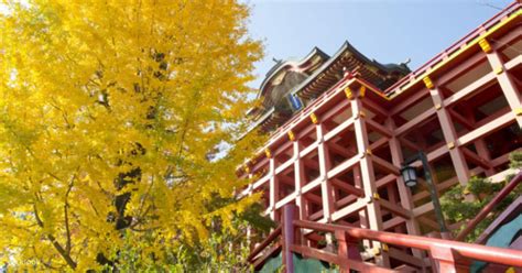 Arita Porcelain Park And Yutoku Inari Shrine Full Day Experience Klook Singapore