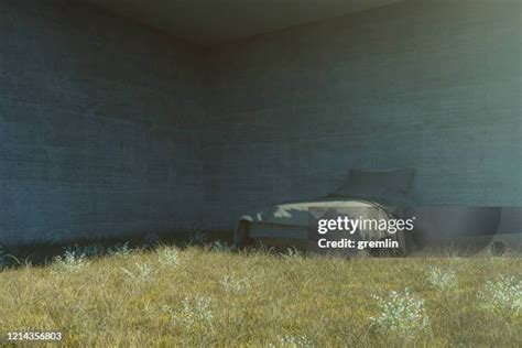 Grass Bed Photos And Premium High Res Pictures Getty Images