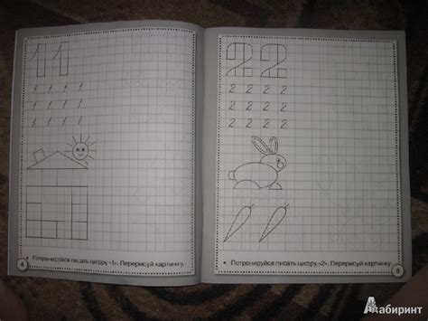 Книга Рабочая тетрадь дошкольника Прописи в клеточку ФГОС Купить книгу читать рецензии