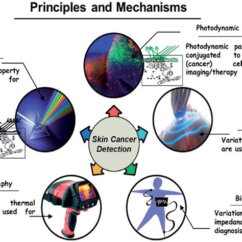 PDF Skin Cancer Detection Using Non Invasive Techniques