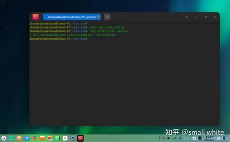 如何在国产操作系统deepin或UOS上开启远程SSH服务 知乎