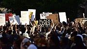 Categorygeorge Floyd Protests In Raleigh North Carolina On May 30