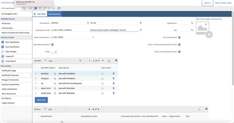 13 Classifications Top Maximo Secrets