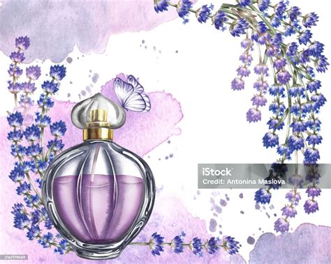 라벤더 보라색 수평 테두리 프레임은 라벤더와 수채화 반점과 나비가 있는 병으로 만들어졌습니다 손으로 만든 수채화 일러스트 포장 엽서 및 라벨용 0명에 대한 스톡 벡터 아트