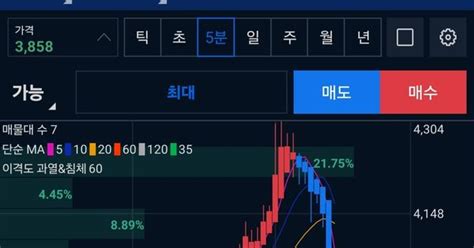 솔레이어 코인니스