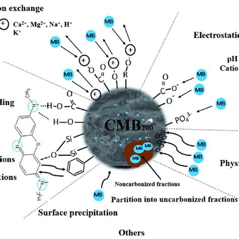 Pdf Heavy Metals Removal From Water By Efficient Adsorbents