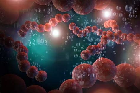 What Is Strep A The Signs To Look Out For As Hse Investigate Possible Link Between Infection