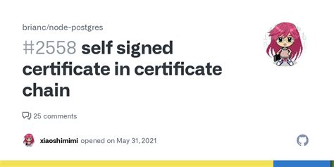 Self Signed Certificate In Certificate Chain · Issue 2558 · Briancnode Postgres · Github