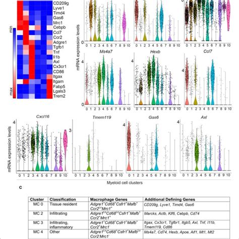 Single Cell Identification Of Immune Cells During Early Breast Cancer Download Scientific