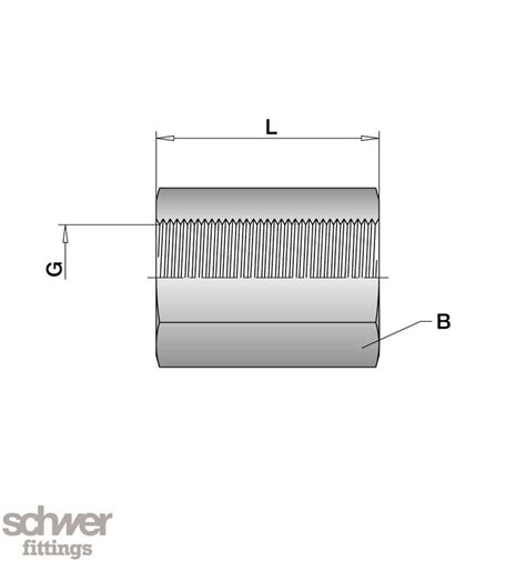 Hexagonal Socket Schwer Fittings Hexagonal Socket Schwer Fittings