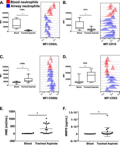 Characterization Of Blood And Airway Neutrophils Markers By Flow