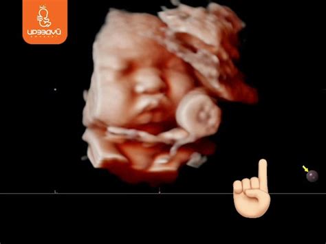 Ирээдүй эмнэлэг Ireedui Emneleg Home