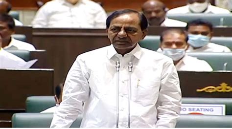 Will Protect Forests At Any Cost Says Cm Kcr Telangana Today