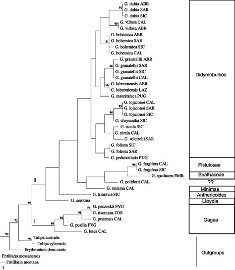 Maximum Parsimony Mp Tree Resulted From Heuristic Search On Data Set Download Scientific