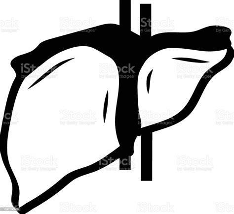 인간 간 개념 간암 벡터 라인 아이콘 디자인 장기 시스템 기호 인체 해부학 기호 인체 부품 스톡 일러스트레이션 간 내부 기관에 대한 스톡 벡터 아트 및 기타 이미지 Istock