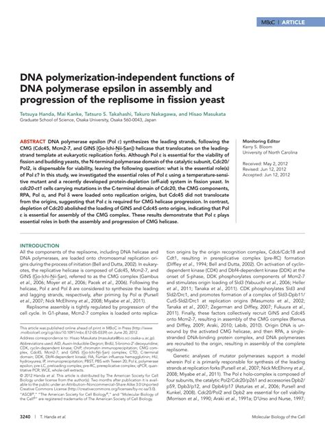 Pdf Dna Polymerization Independent Functions Of Dna Polymerase ε In