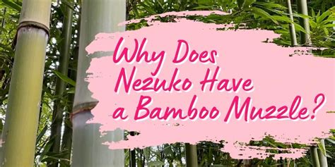 Why Does Nezuko Have A Bamboo Muzzle In Her Mouth