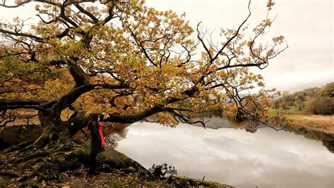 2023 Năm Của Những Trải Nghiệm đầu Tiên Call Me Violet