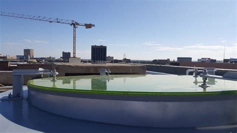 Sol Plaatje University Novum Structures Eu