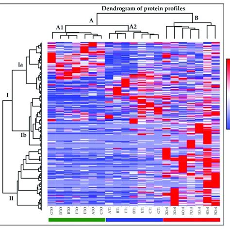 Heatmap Analysis Heatmap Analysis Performed On Matching Spots Among Download Scientific