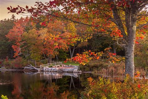 Midcoast Maine Fall Foliage