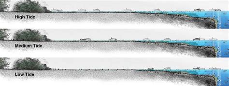Cross Section Produced From The Field Acquired Spatial Data Graphics Download Scientific