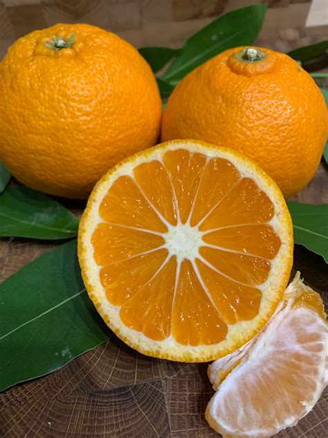 Доставка Овощей и Фруктов