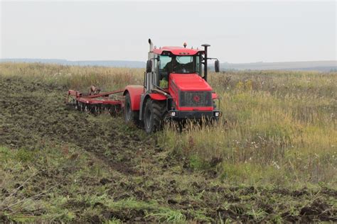 Почти 80 тыс гектаров сельхозземель введено в оборот в России в 2022 году в блоге Агропром и