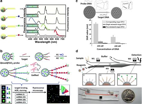 fluorometric microbead based nucleic acid detection a dna