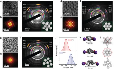 Structural Evaluation And Electron Microscopy Observation Of The Download Scientific Diagram