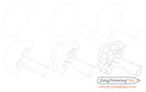 How To Draw Broccoli Step By Step EasyDrawingTips
