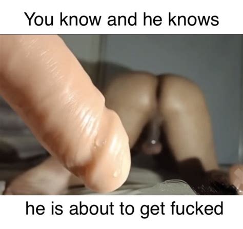 Anticipation Sexrepository69