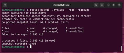 Restic Backup And Restore Data On Linux With Examples