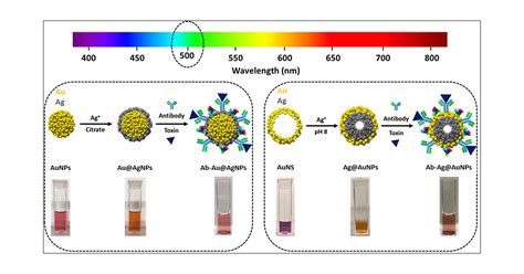 Coreshell Goldsilver Nanoparticles For Localized Surface Plasmon