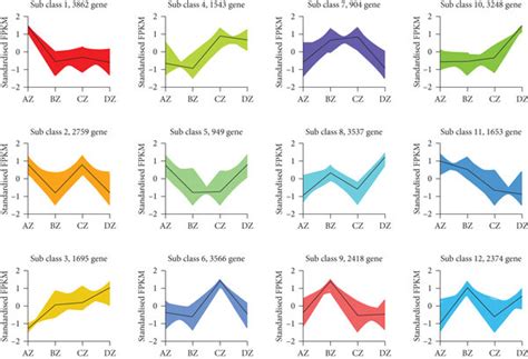 K Means Clustering Of Differentially Expressed Genes Based On